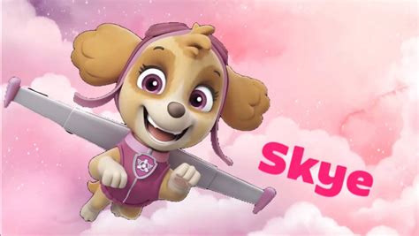 Paw Patrol Skye Background By Heno64490 On Deviantart