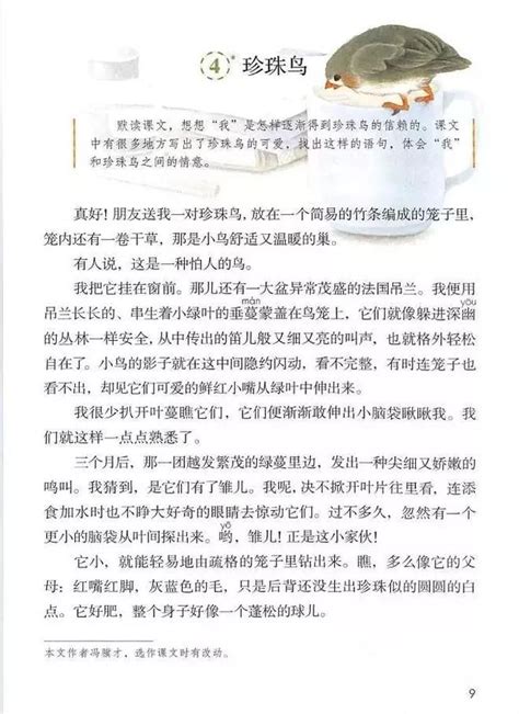 部编版五年级语文上册第4课珍珠鸟知识点 图文解读 课文