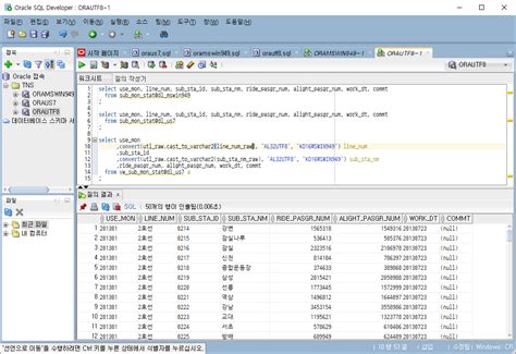 Oracle Character Set 변환9 6 사용자 구현 Character Set 변환 방법 2 생산성 Skill