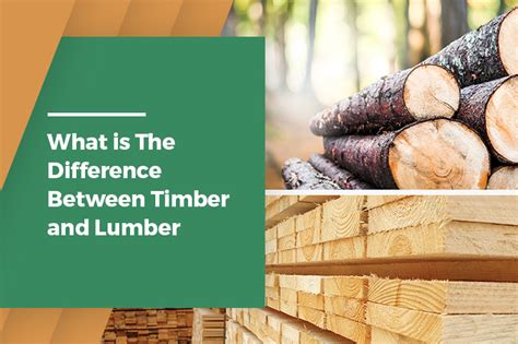 What Is The Difference Between Timber And Lumber