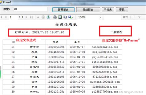 c 报表 rdlc 实现打印，word、excel、pdf导出 csdn博客
