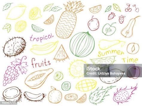 흰색으로 분리된 다채로운 열대 낙서 과일 세트 벡터 그림입니다 인사말 카드 엽서 인쇄에 적합합니다 과일에 대한 스톡 벡터 아트 및 기타 이미지 Istock