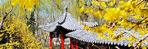 “第三届环境纳米技术及生物效应学术研讨会”将于2024年12月6 9日在山东济南莱芜召开 山东省绿色与智能建筑材料重点实验室