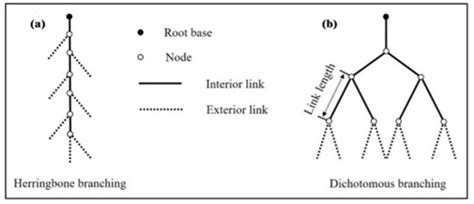 What Is Root Architecture