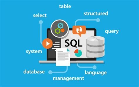 Which Redmine Database Is The Best