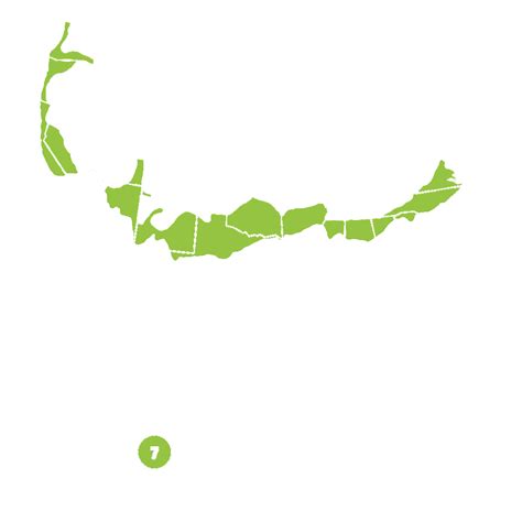 Hydrangea Violet Crown Stunning Hydrangea Macrophylla Violet Crown Varieties