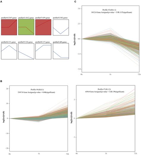 Short Time Series Expression Miner Stem Analysis Of Gene Expression Download Scientific