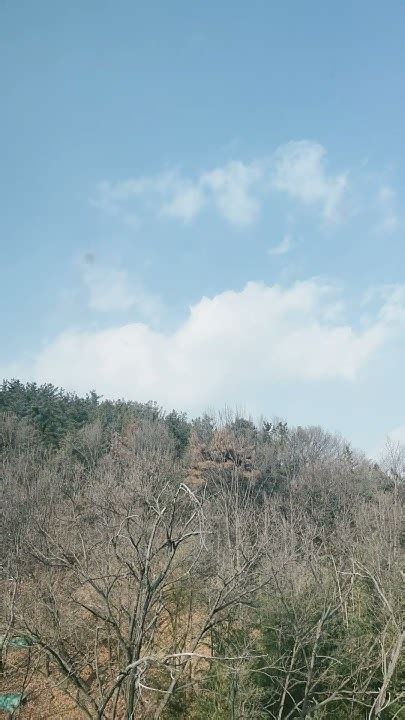 사람은 헛것 같고 그의 날은 지나가는 그림자 같으니이다 여호와여 주의 하늘을 드리우고 강림하시며 산들에 접촉하사 연기가 발하게 하소서”시1444해피마라나타 소망예수