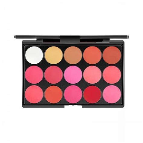 Tooyful 4xlip Palette 15 Lip Glosses Professional Lip Glosses Palette