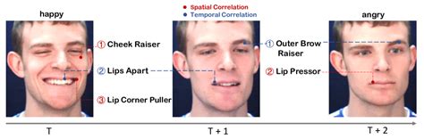 Au Vmae Knowledge Guide Action Units Detection Via Video Masked