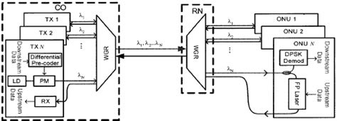 wdm pon using dpsk as the downstream modulation format and upstream ook