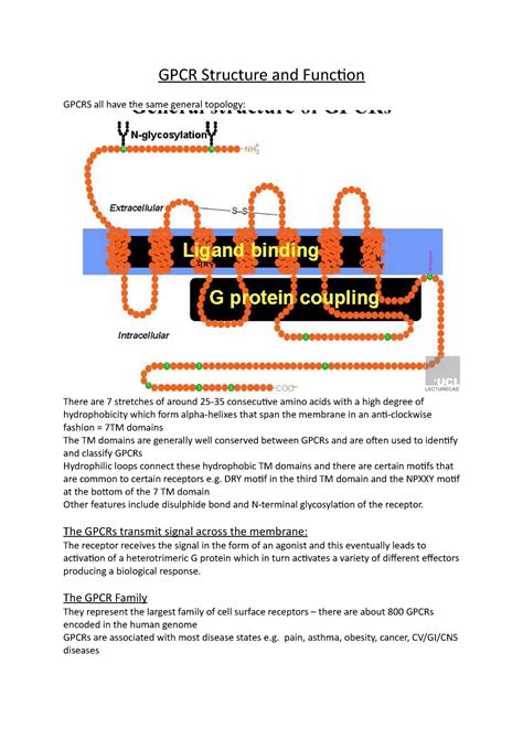 GPCR Structure And Funtion GPCR Structure And Function GPCRS All Have The Same General