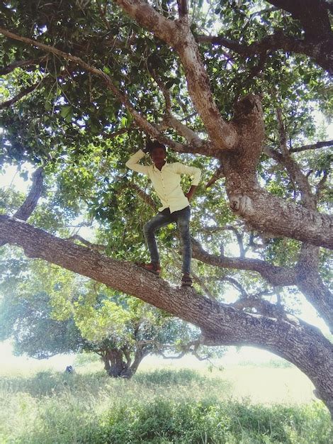 Low Angle View Of Man Standing On Tree Trunk Premium Photo