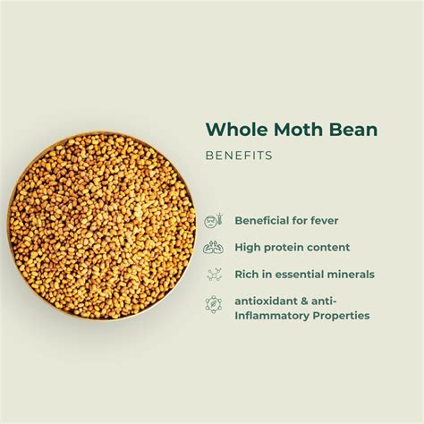 Moth Bean Matki Ooo Farms