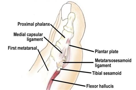 Russell Okungs Turf Toe Breaking Down The Nagging Oddly Named Injury