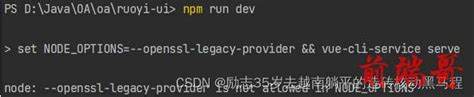 Npm Run Dev报错：＞ Set Nodeoptions Openssl Legacy Provider Andand Vue Cli Service Servenode 前端哥