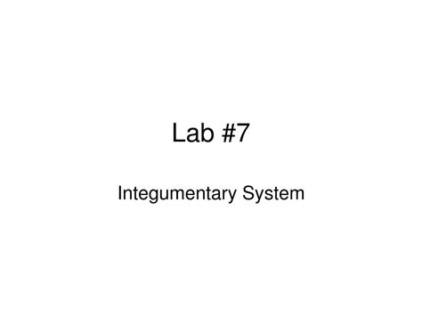 PPT Lab PowerPoint Presentation Free Download ID