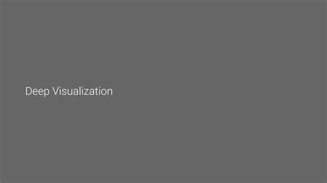 Experimental Categorization And Deep Visualization Ppt