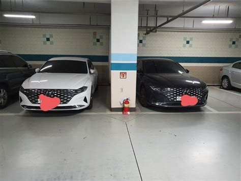 색상 선호도 자동차 에펨코리아