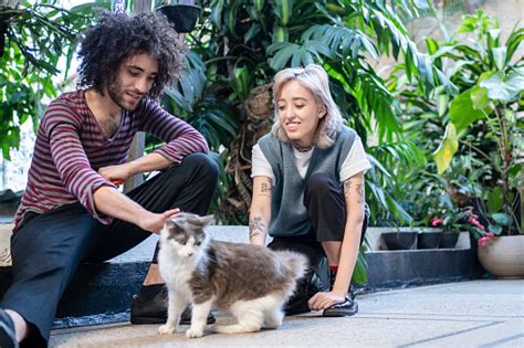 고양이와 놀고있는 비 바이너리 사람과 친구 금발 머리에 대한 스톡 사진 및 기타 이미지 금발 머리 넌 바이너리 젠더