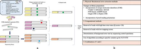illustration of error correction in next generation sequencing and