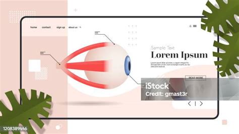 인간의 눈 아이콘 내부 장기 구조 상세한 안구 의료 의료 해부학 생물학 개념 평면 복사 공간 수평 각막에 대한 스톡 벡터 아트 및 기타 이미지 Istock