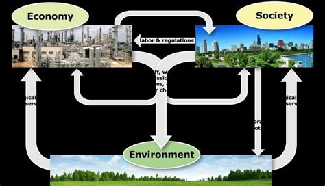 Human Environment Interaction