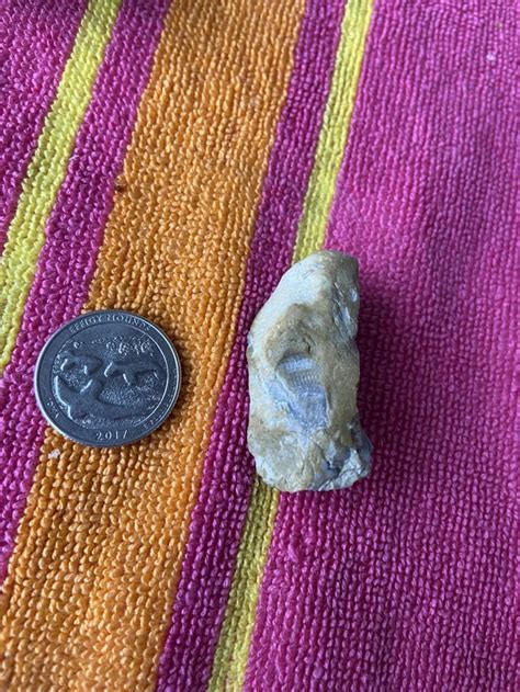 Hi Guys I Found A Cool Trace Fossil A Few Days Ago And I Was Wondering If Anyone Knew What It