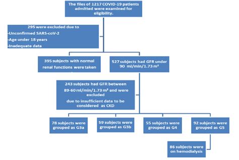 The Flowchart Of Patient Selection And Classification Download