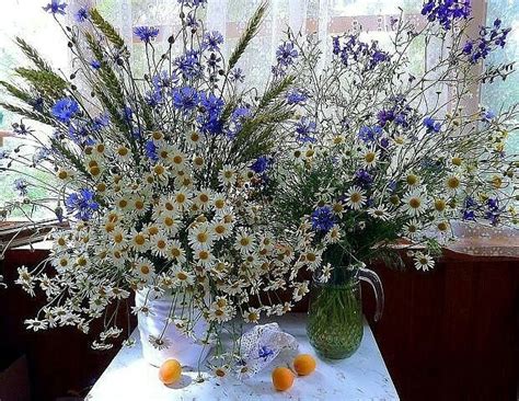 Пин от пользователя Драгун Ирина на доске Цветочные композиции Плавающие цветы Садовые