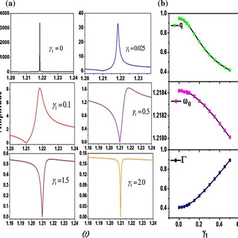 A Resonant Behavior Of The Coupled System Under Different ω1 B Mapping