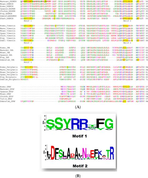 Figure 2 From Are The Head And Tail Domains Of Intermediate Filaments Really Unstructured