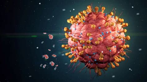 Herpes Simplex Virus Purpose Result Lab Test Information