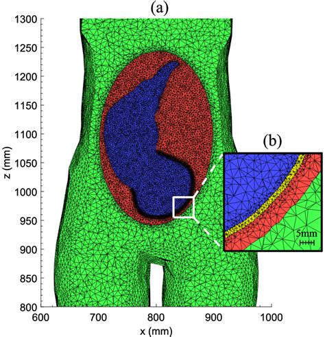 A Cross Section Y 127mm Of Tetrahedral Finite Element Model With Download Scientific