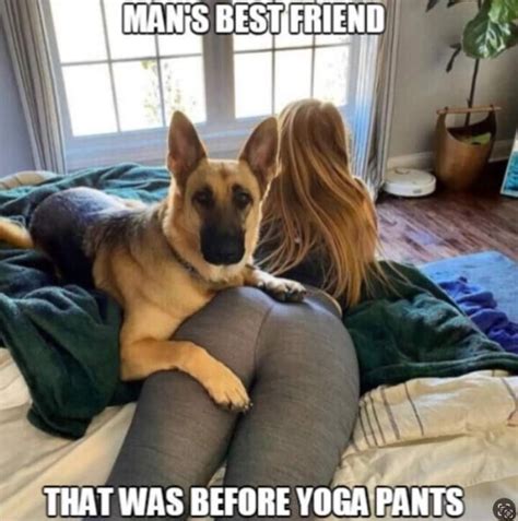 Funny Yoga Memes