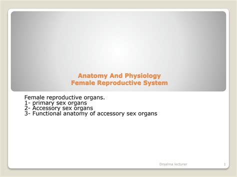 Solution Female Reproductive System Studypool