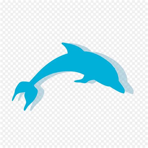 海豚PNG图片素材下载 图片编号qgepndgr 免抠素材网