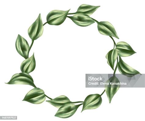 녹색 장미의 우아한 둥근 프레임 화환은 수채화 스타일로 나뭇잎 흰색 배경에 디지털 그림입니다 초대장 날짜 저장 감사 또는 인사말 카드 결혼식에 대한 스톡 벡터 아트 및 기타