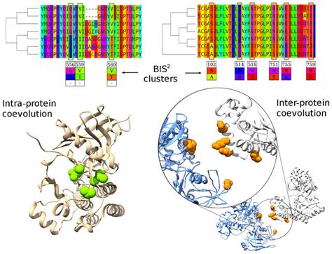 Graphical Abstracts Examples Nucleic Acids Research Oxford Academic