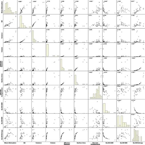 Correlation Matrix Of Texture Features The Correlation Matrix Was