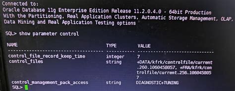 Oracle集群多副本控制文件异常问题the Controlfile Header Block Returned By The Os Ha Csdn博客