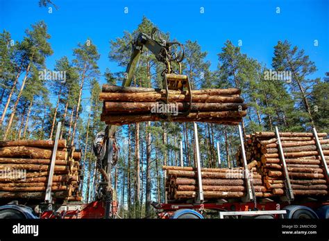 Crane Loading Logs In The Truck Stock Photo Alamy