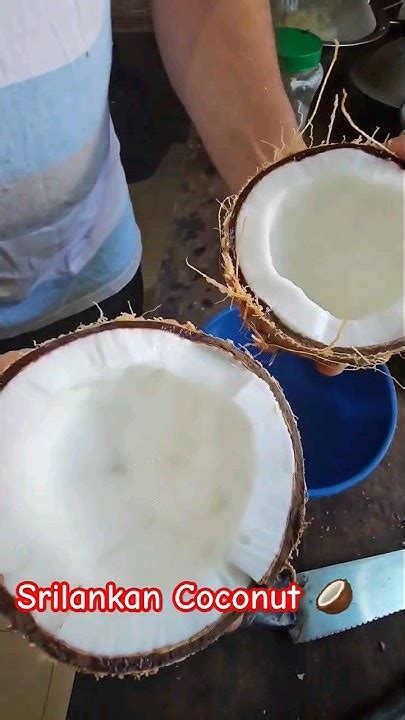 Coconut Milk Process~코코넛 밀크 공정😋🥥 Satisfying Youtubeshorts Youtube