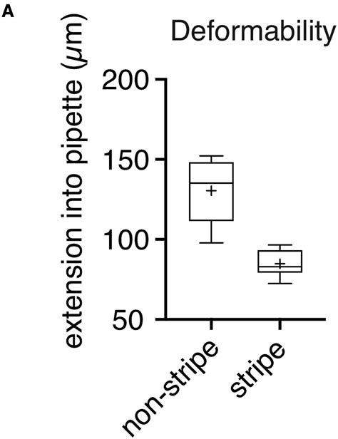 Reciprocal Cell ECM Dynamics Generate Supracellular Fluidity Underlying Spontaneous Follicle