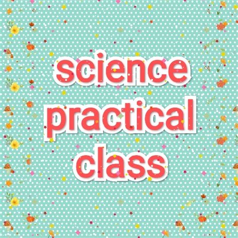 Science Practical Class Youtube