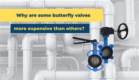 why are some butterfly valves more expensive than others