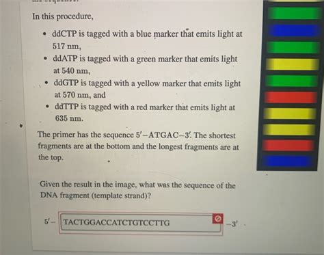 Solved A Researcher Sequences A Dna Fragment Using