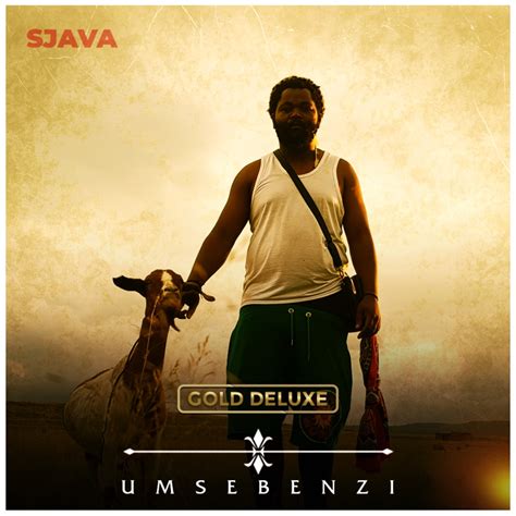 Umsebenzi Gold Deluxe By Sjava Album Afrocharts