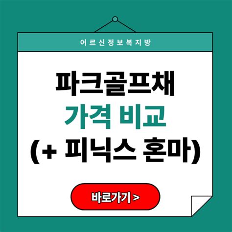 파크골프채 가격 비교 2025 피닉스 혼마 빅토리 국산 놓치면 손해 보는 선택 가이드 네이버 블로그