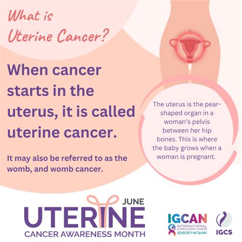 Uterus Cancer Endometrial Cancer Signs And Symptoms And Why They Occur